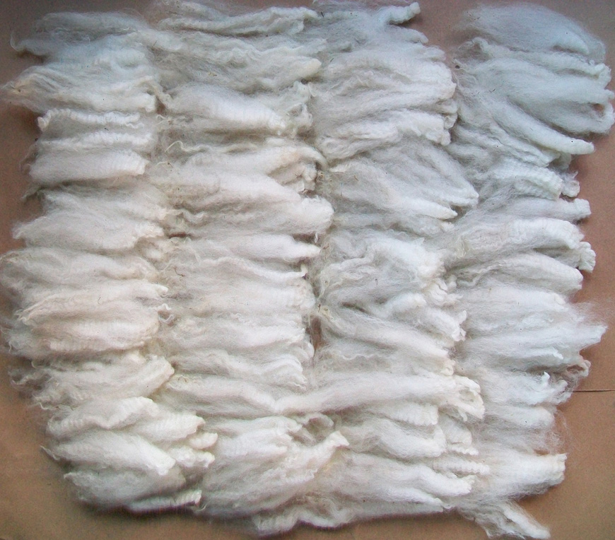 Huacaya Alpaca locks – Felting and Fiber Studio