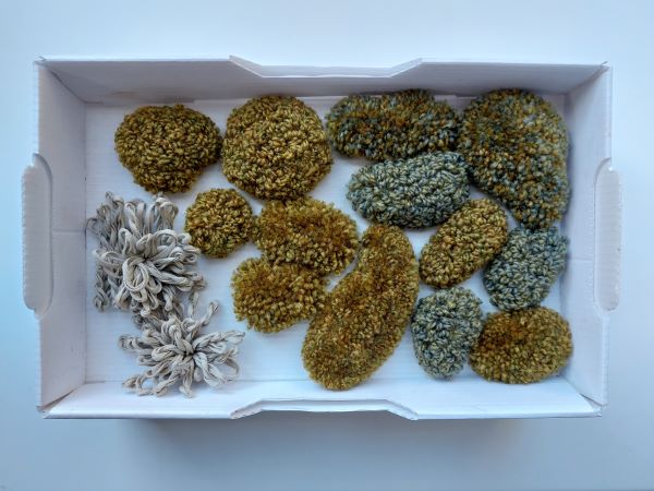 Lichen – Part 2 – Continued experiments put to work! – Felting and ...