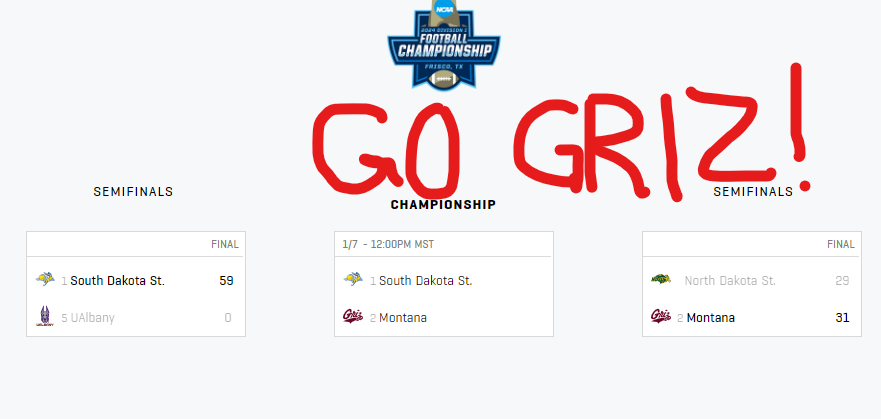 Go Griz – Felting and Fiber Studio